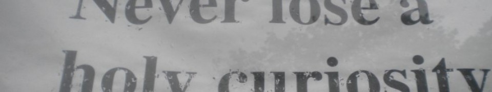 L’eccesso di delega è lettera morta. – Norman Journalist